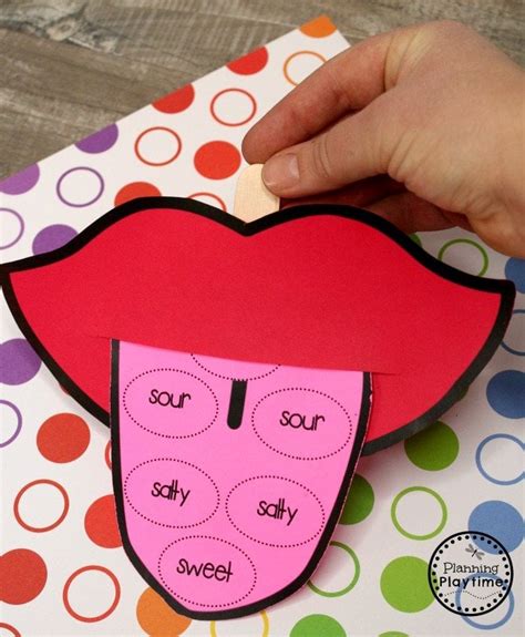 5 Senses Preschool Crafts Recommendations