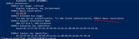 azure key vault certificate create basic constraints ca true stack