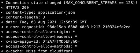 node js api gateway lambda with express cors are enabled but not