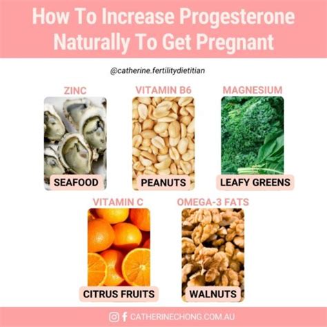 How To Increase Progesterone To Get Pregnant Dietitian Catherine Chong