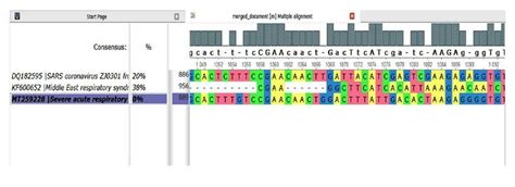Genome Comparison Sequence 1 2 And 3 Download Scientific Diagram