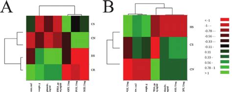 heat map showing unsupervised hierarchical clustering of different