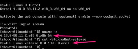 installing centos 8 using netboot iso image linux hint