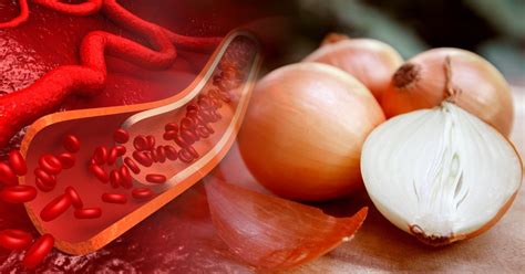 Estos Alimentos Te Ayudarán A Bajar La Presión Arterial De Forma