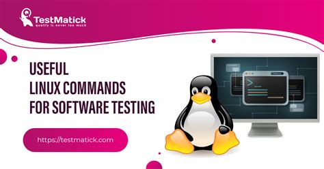 useful linux commands for software testing testmatick