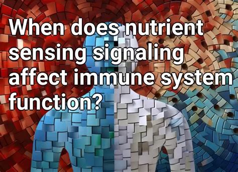 When Does Nutrient Sensing Signaling Affect Immune System Function
