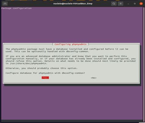 How To Install Phpmyadmin In Ubuntu 20 04 Nucleio Information Services