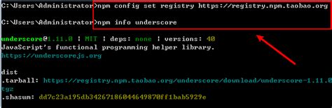 fix npm install requesterror connect etimedout error
