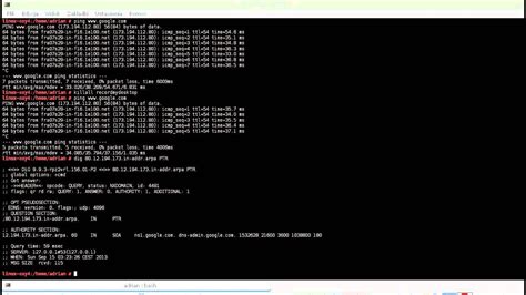 reverse dns lookup youtube