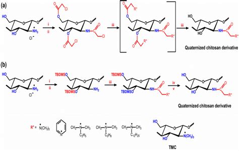 Scheme 12 Route For Synthesis Of The N Quaternized Chitosan