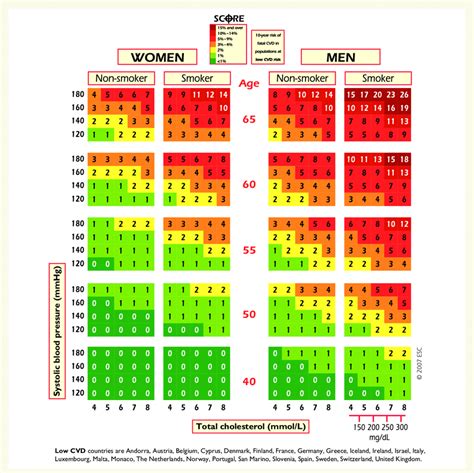 Cardiovascular Risk Assessment Healsens Digital Preventive 60 Off