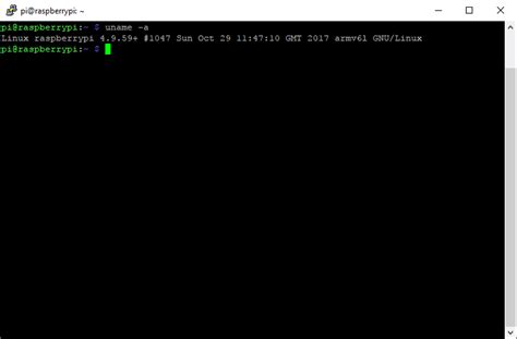 raspberry pi show os version raspberry