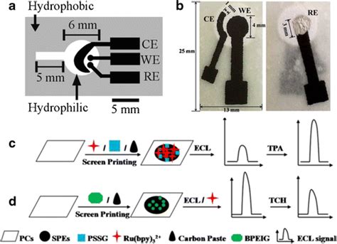 A Basic Design Of The Electrochemical Detection Cell For Paper Based