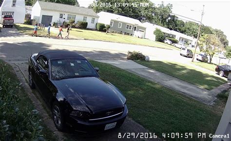 17 Security Camera Captures You Could Never Think Of Reolink Blog