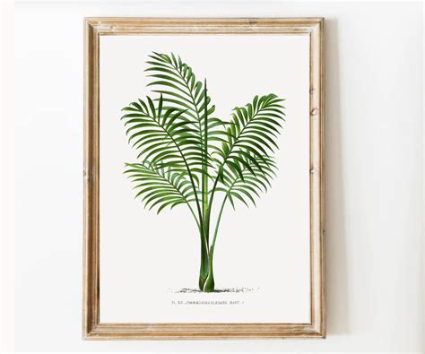 Set Of 3 Tropical Palm Tree Printables Wall Art Digital Etsy