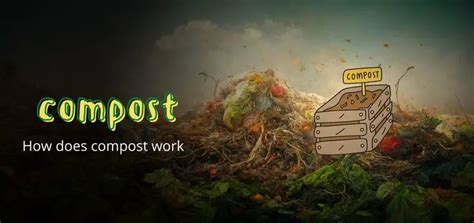 How Does Compost Work