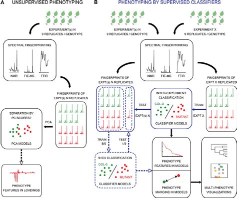 flow charts for unsupervised phenotyping a versus phenotyping by