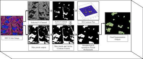 proposed segmentation results the hsv transformed image is utilized as