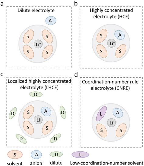 Schematic Illustrations Of Solvation Structure Of A Traditional Dilute