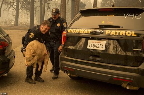 Three Out Of Control Wildfires Continue Path Of Devastation Across Wide