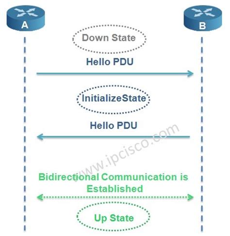 routing with is is protocol part 4 is is adjacency ⋆ ipcisco