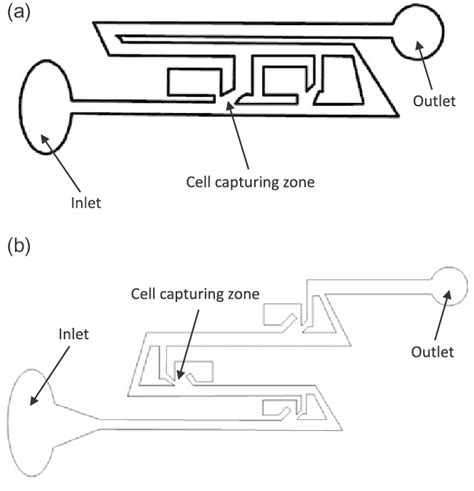 Schematic Diagram Of Microfluidics Device A Series Loop