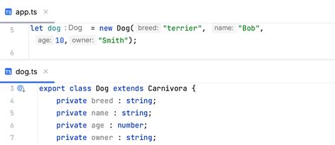 typescript webstorm documentation