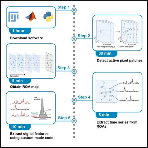 Stardust A Pipeline For The Unbiased Analysis Of Astrocyte Regional