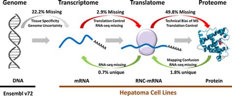 Latest From The Human Proteome Project Virtual Issue