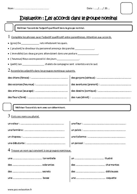 pdf accords dans le groupe nominal cm1 evaluation idrissa meite