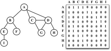 the adjacency matrix learning javascript data structures