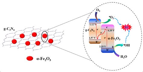 Tc Degradation By The α Fe2o3 G C3n4 Heterojunction Via Z Scheme