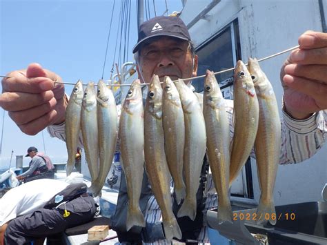 第五・シロギスの食い活発！xデー間近！！ キスコース 釣果ブログ 【南知多・師崎】釣り船なら石川丸