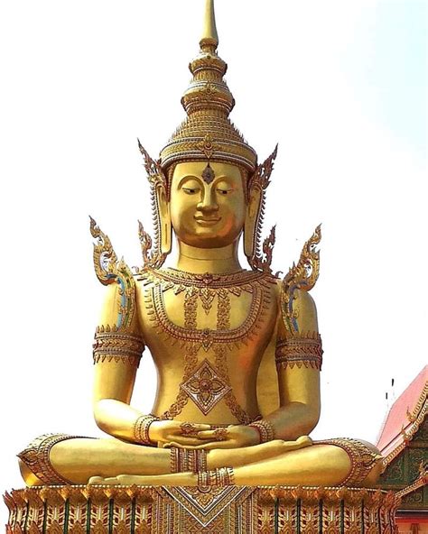 [เบื่อเมือง] พระธรรมของพระพุทธเจ้านั้น ไม่อาจค้นพบได้ด้วยตำราต่างๆ ถ้า