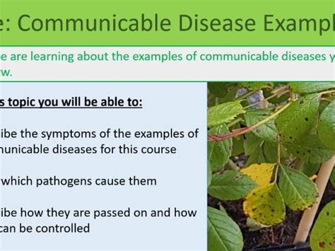 Communicable Disease Lesson Gcse Biology Teaching Resources