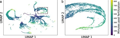Complex Trajectories In C Elegans Development A Umap Of 81286 C