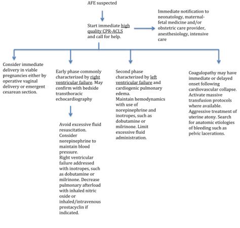 Amniotic Fluid Embolism Diagnosis And Management American Journal Of