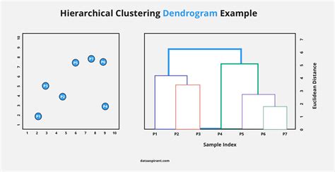 hierarchical clustering dendrogram