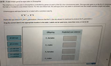 Solved A Sex Linked Gene For Eye Color In Drosophila The Free