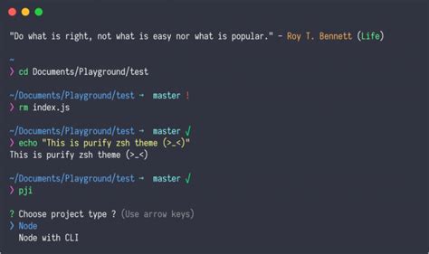 zsh oh my zsh on linux and macos