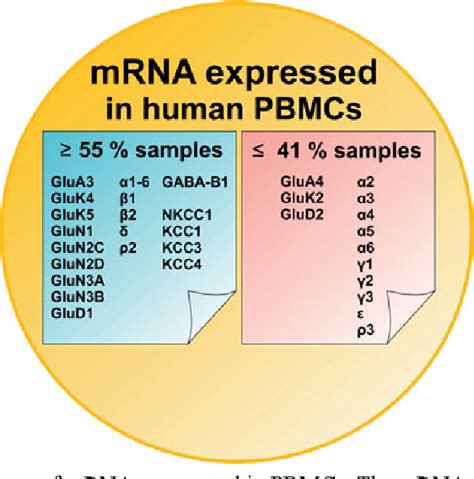 Figure 1 From Glutamate And Gaba Signalling Components In The Human