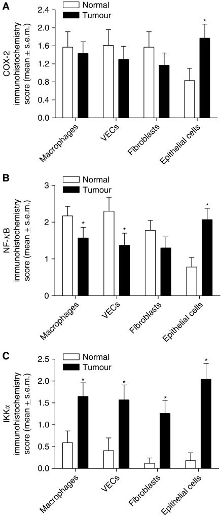 Expression Of Cox 2 A Nf κb P65 B And Ikkα C In Matched Normal