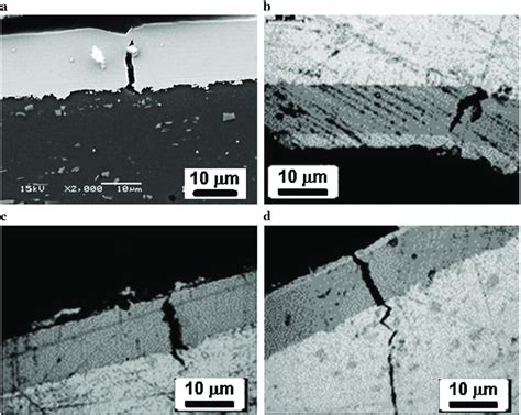 Sem A And Optical B C D Micrographs Of Cracks Revealed In Samples