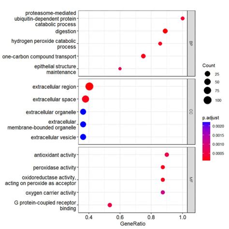 Enrichment Analysis Go And Kegg Pathways Using Clusterprofiler Ggplot