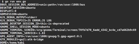 golang environment variables geeksforgeeks
