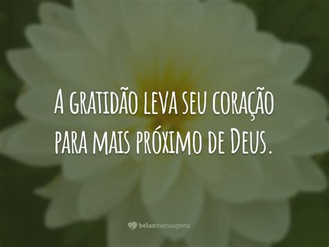 40 Frases De Gratidão Que Expressam Esse Sentimento