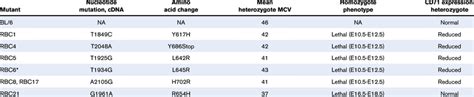 List Of Tfrc Mutant Mouse Strains Generated By Enu Mutagenesis
