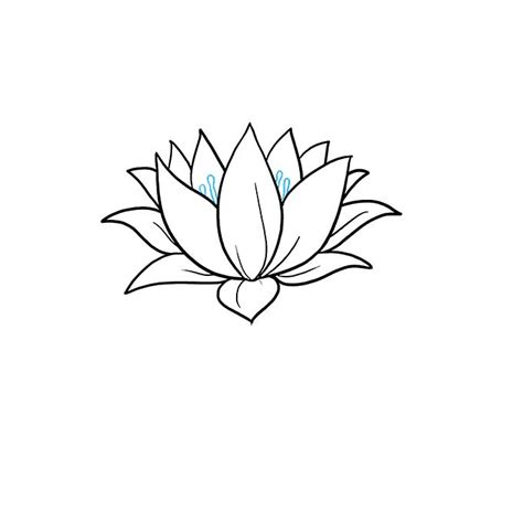 How To Draw A Lotus Flower Really Easy Drawing Tutorial Lotus