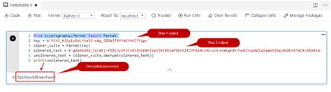 encrypting passwords with python scripts in sql notebooks of azure data