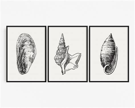 Sea Life Art Print Set Of 6 A4 Size Unframed Coastal Beach House Sea